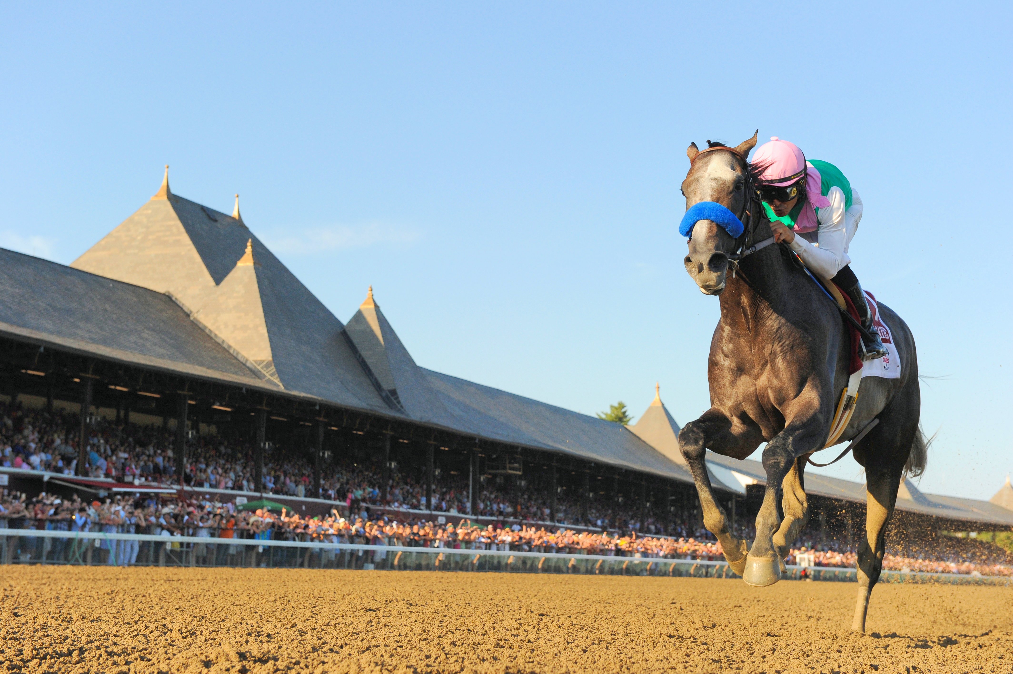 Arrogate (KY) | National Museum of Racing and Hall of Fame