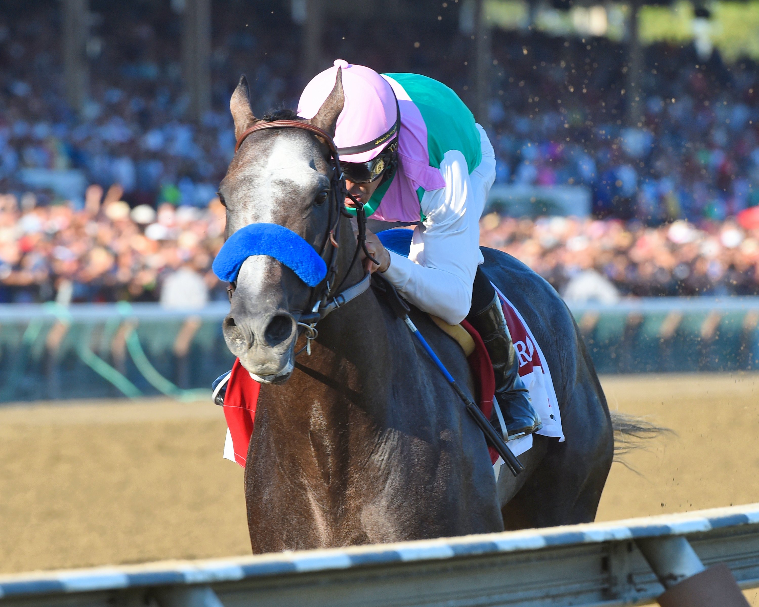 Arrogate (KY) | National Museum of Racing and Hall of Fame