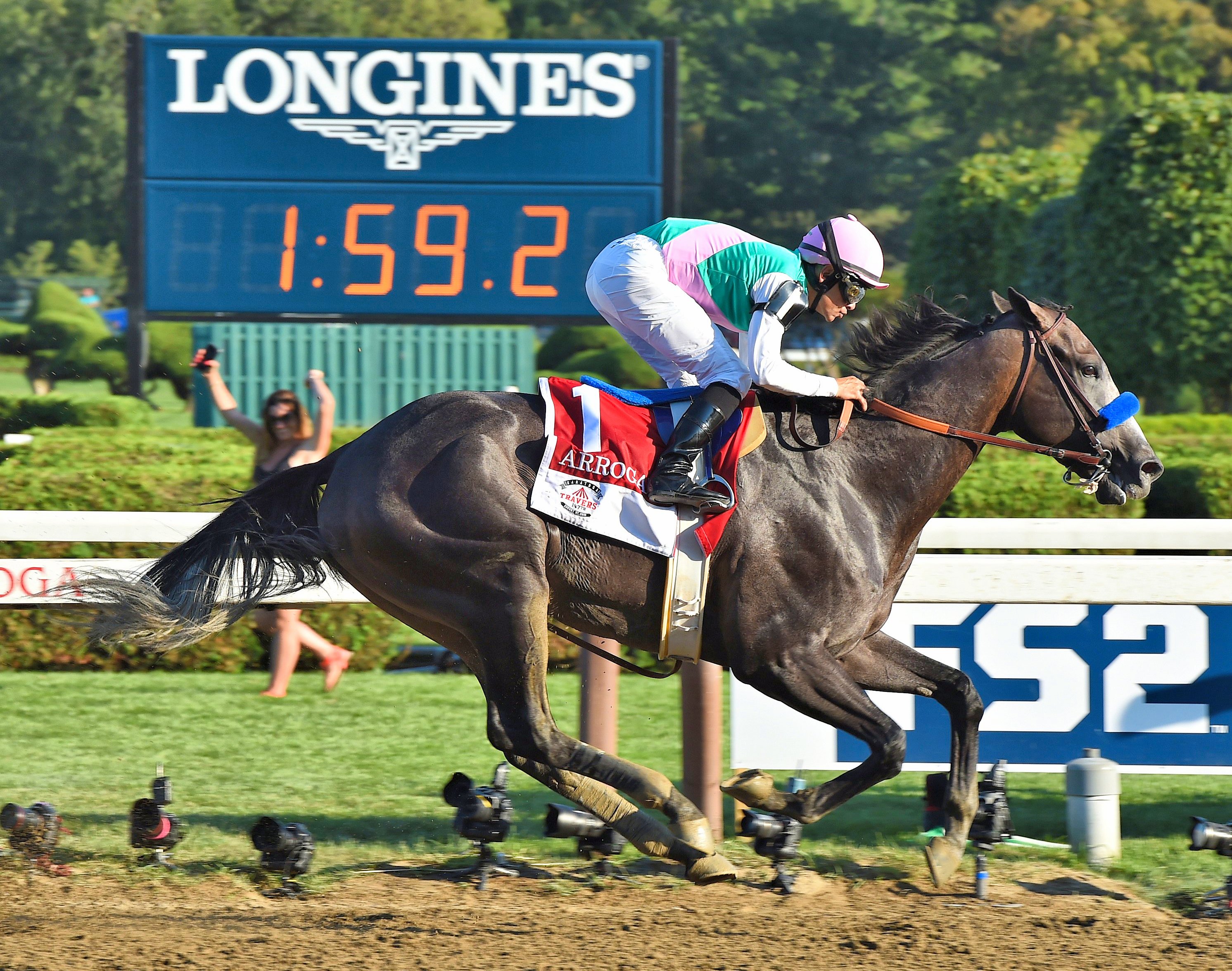 Arrogate (KY) | National Museum of Racing and Hall of Fame
