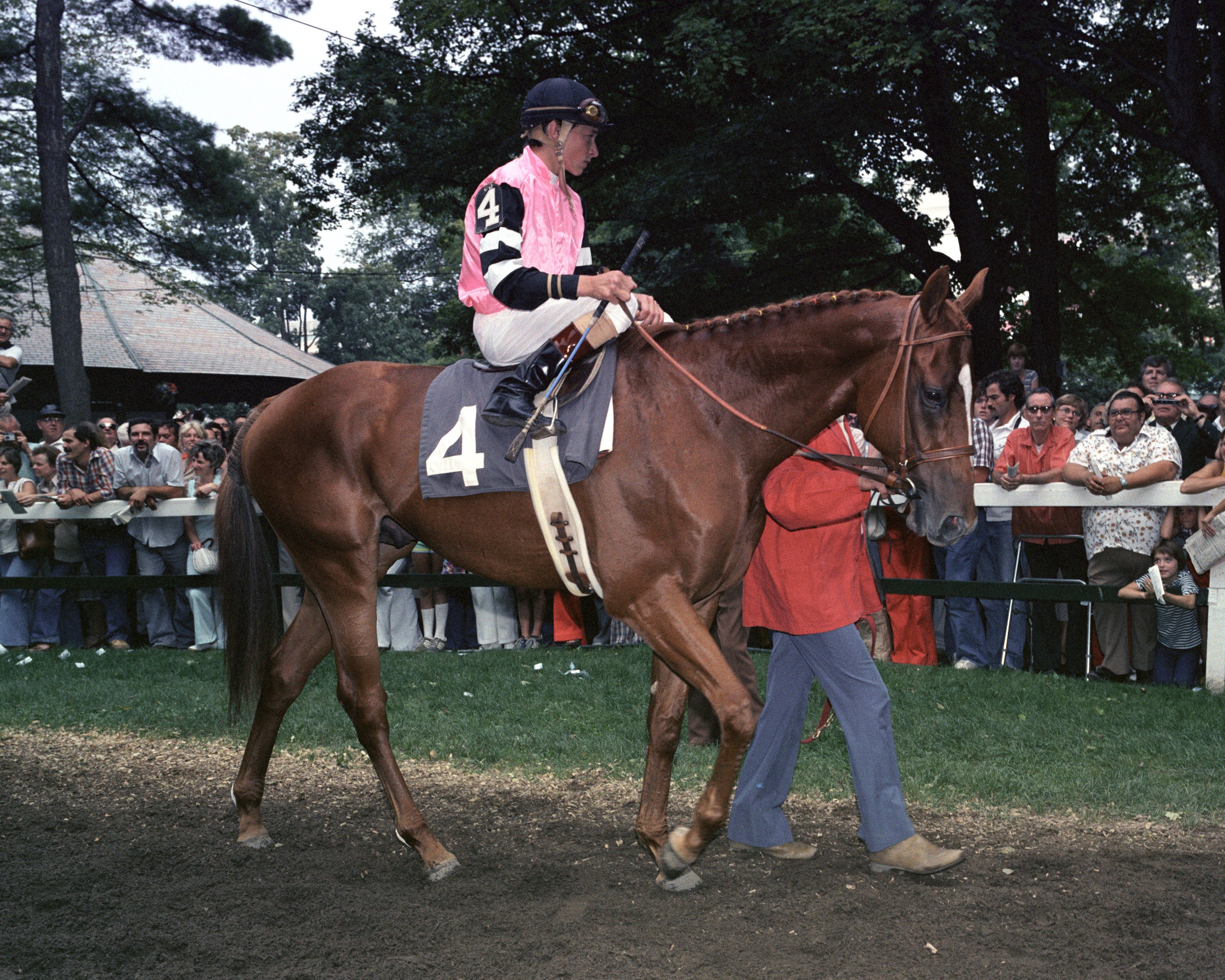 Affirmed (FL) | National Museum of Racing and Hall of Fame