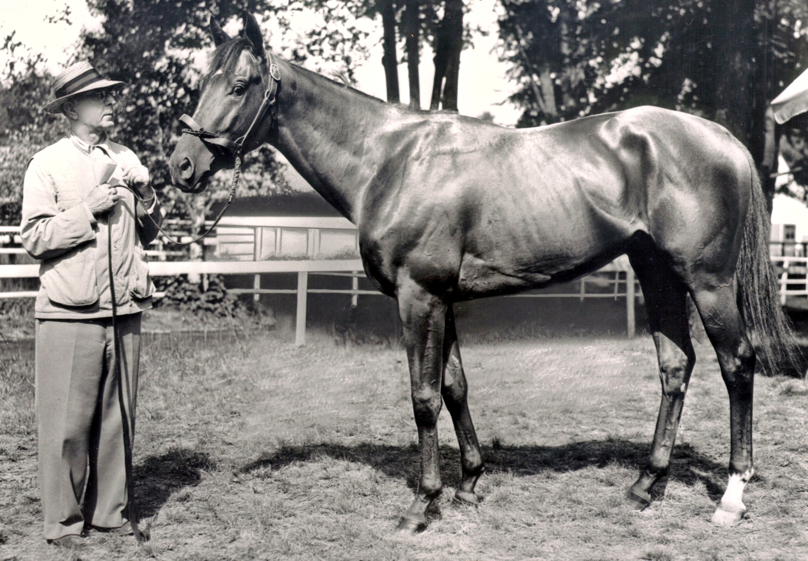 Assault (TX) | National Museum of Racing and Hall of Fame