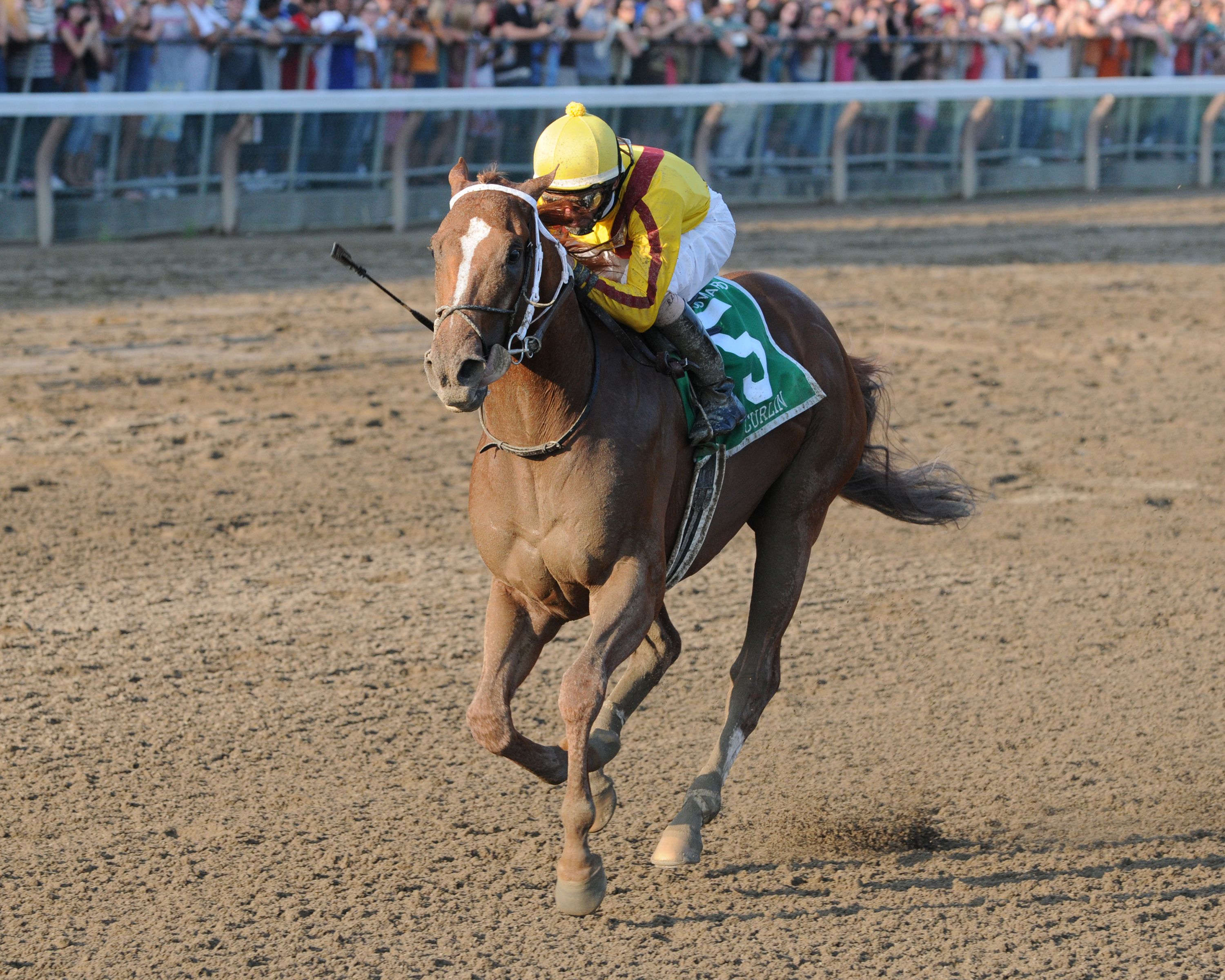 Curlin (KY) | National Museum of Racing and Hall of Fame