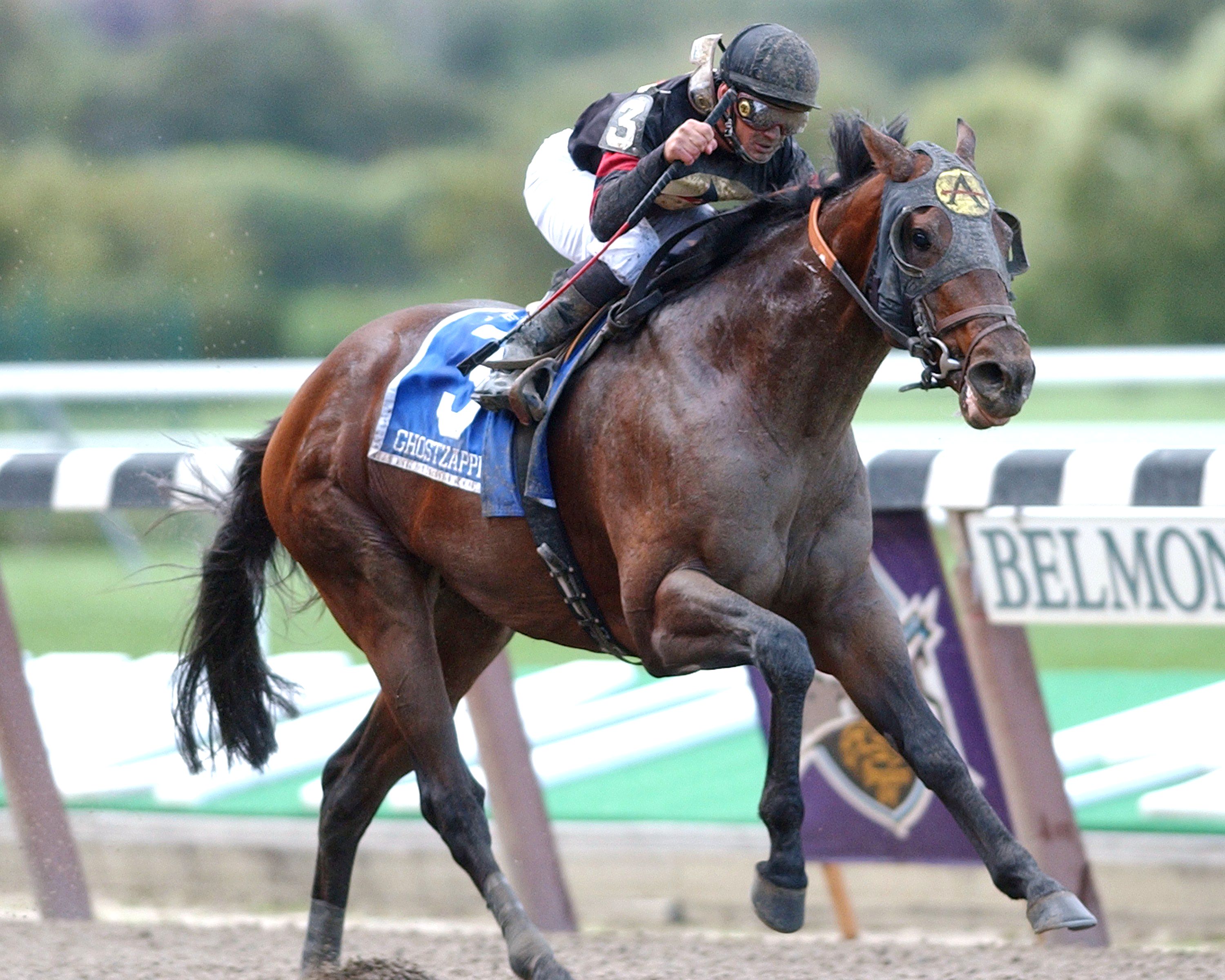 Ghostzapper (KY) | National Museum of Racing and Hall of Fame