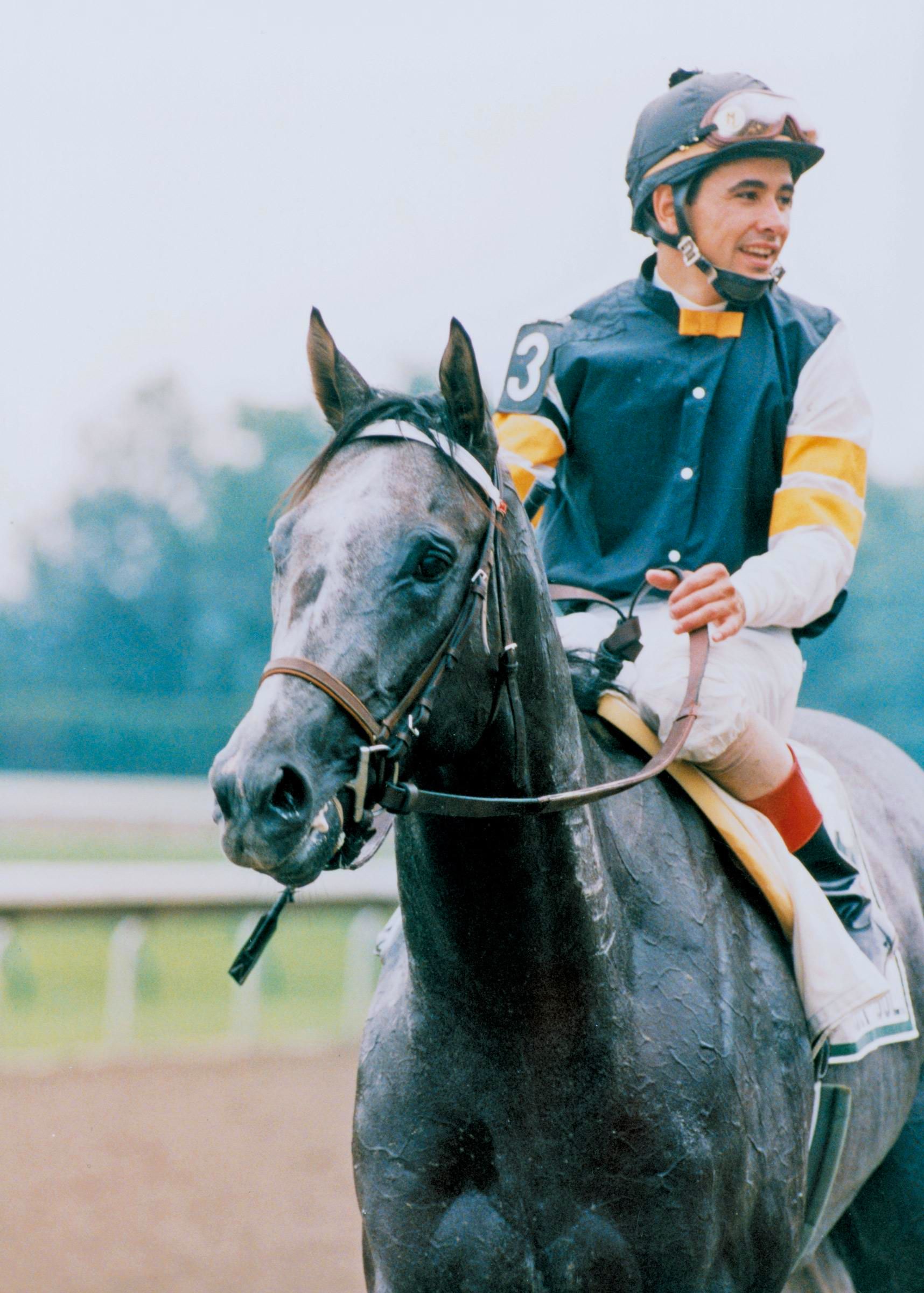 Holy Bull (FL) | National Museum of Racing and Hall of Fame