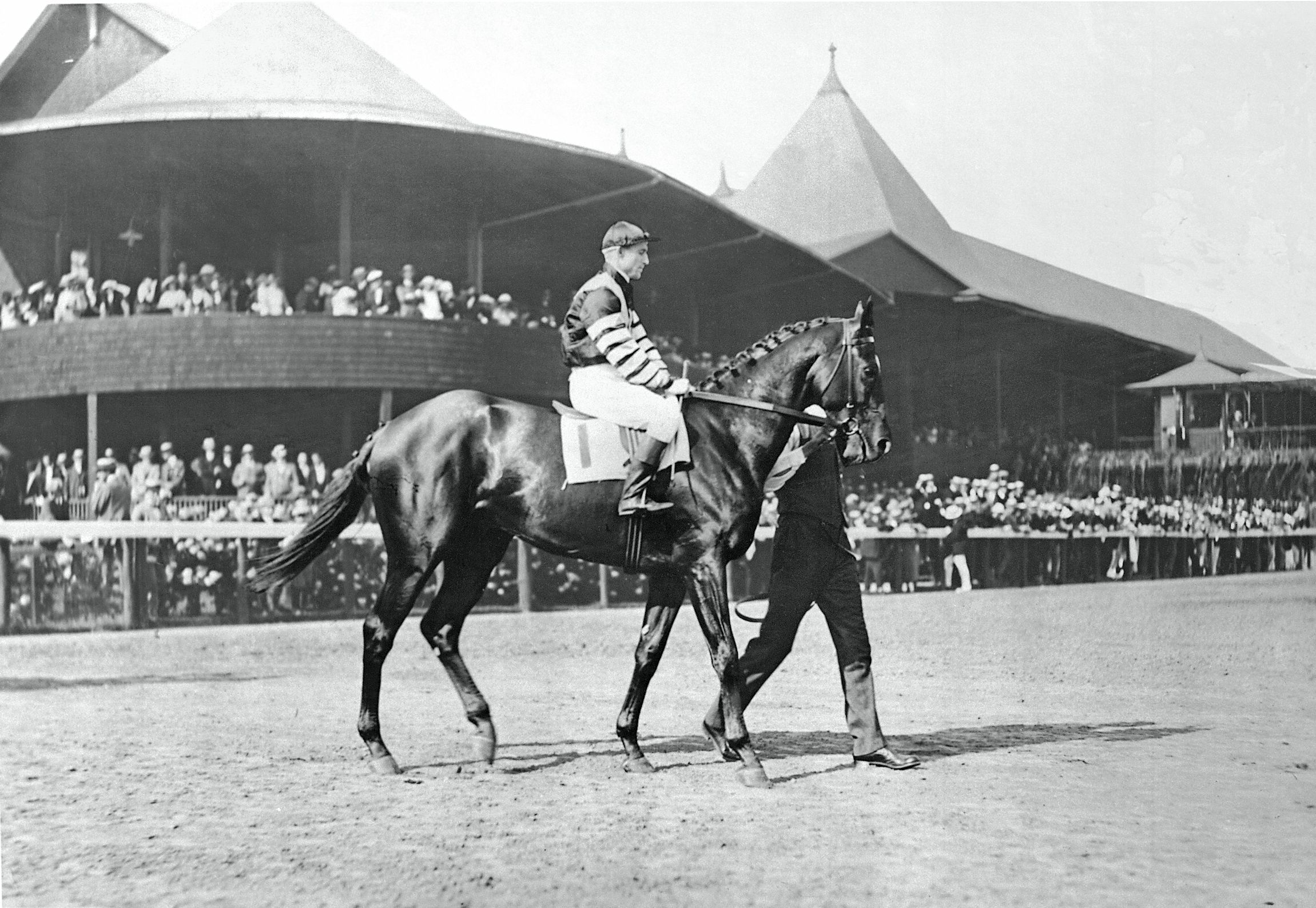 Man o' War (KY) | National Museum of Racing and Hall of Fame