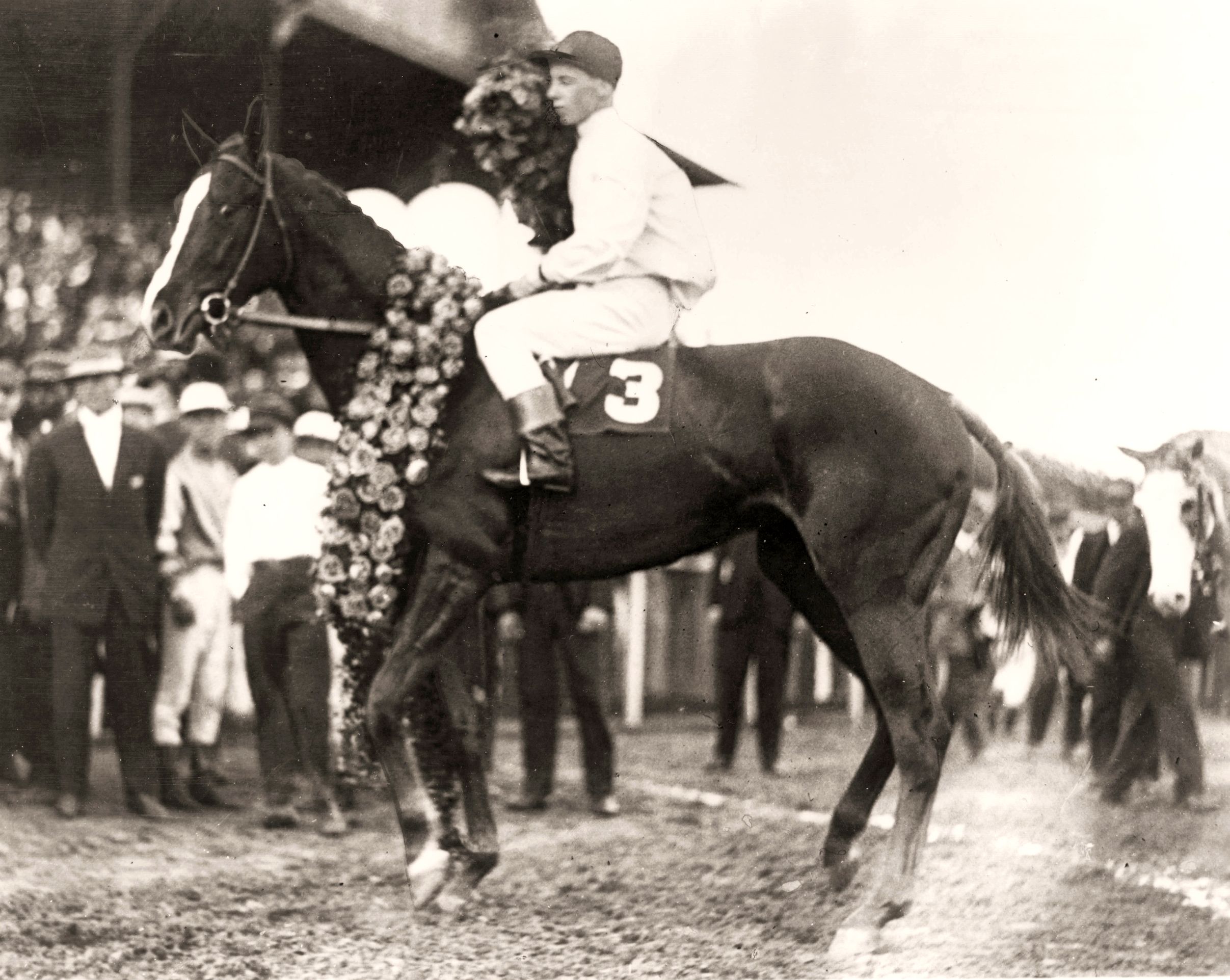 Regret (NJ) | National Museum of Racing and Hall of Fame