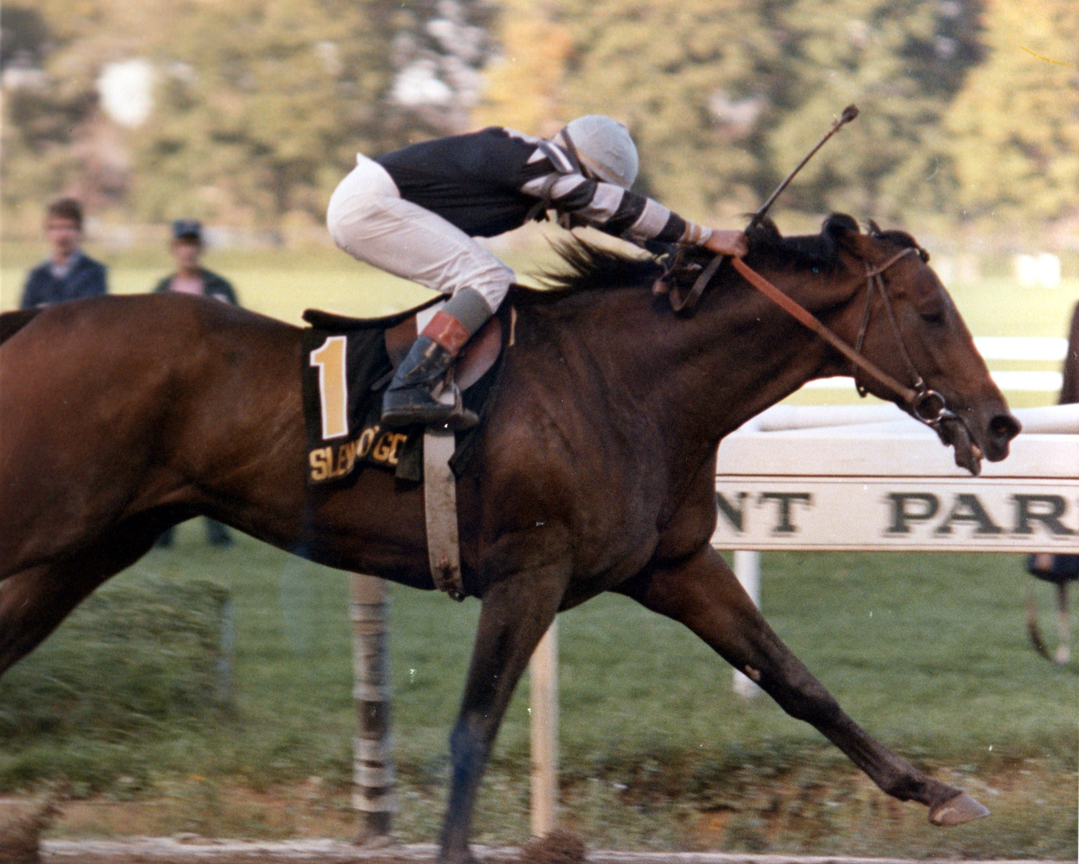 Slew o' Gold (KY) | National Museum of Racing and Hall of Fame